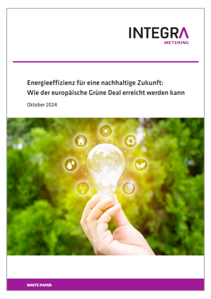 White Paper: Energieeffizienz für eine nachhaltige Zukunft | INTEGRA ...